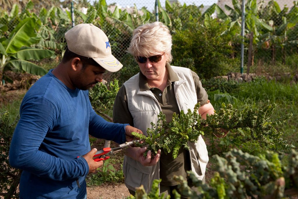 Salalah Safari Tours | Just another WordPress site